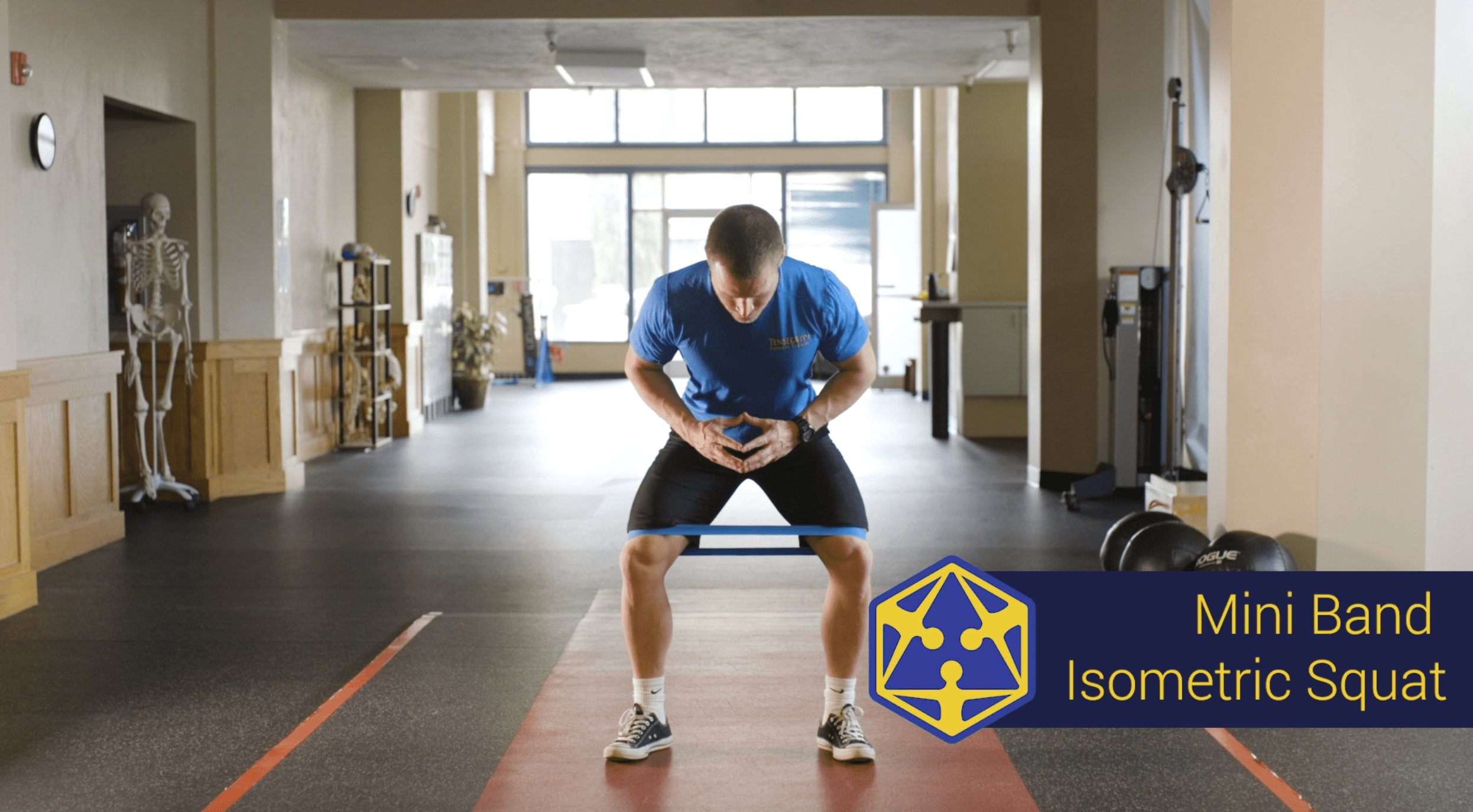 Isometric Squat - Tensegrity Physical Therapy